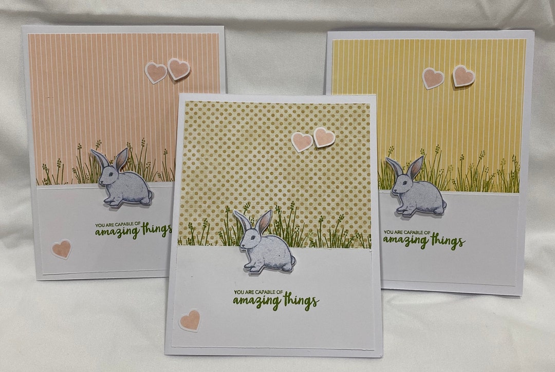 Set of 3 - Blank Inside Cards - Etsy