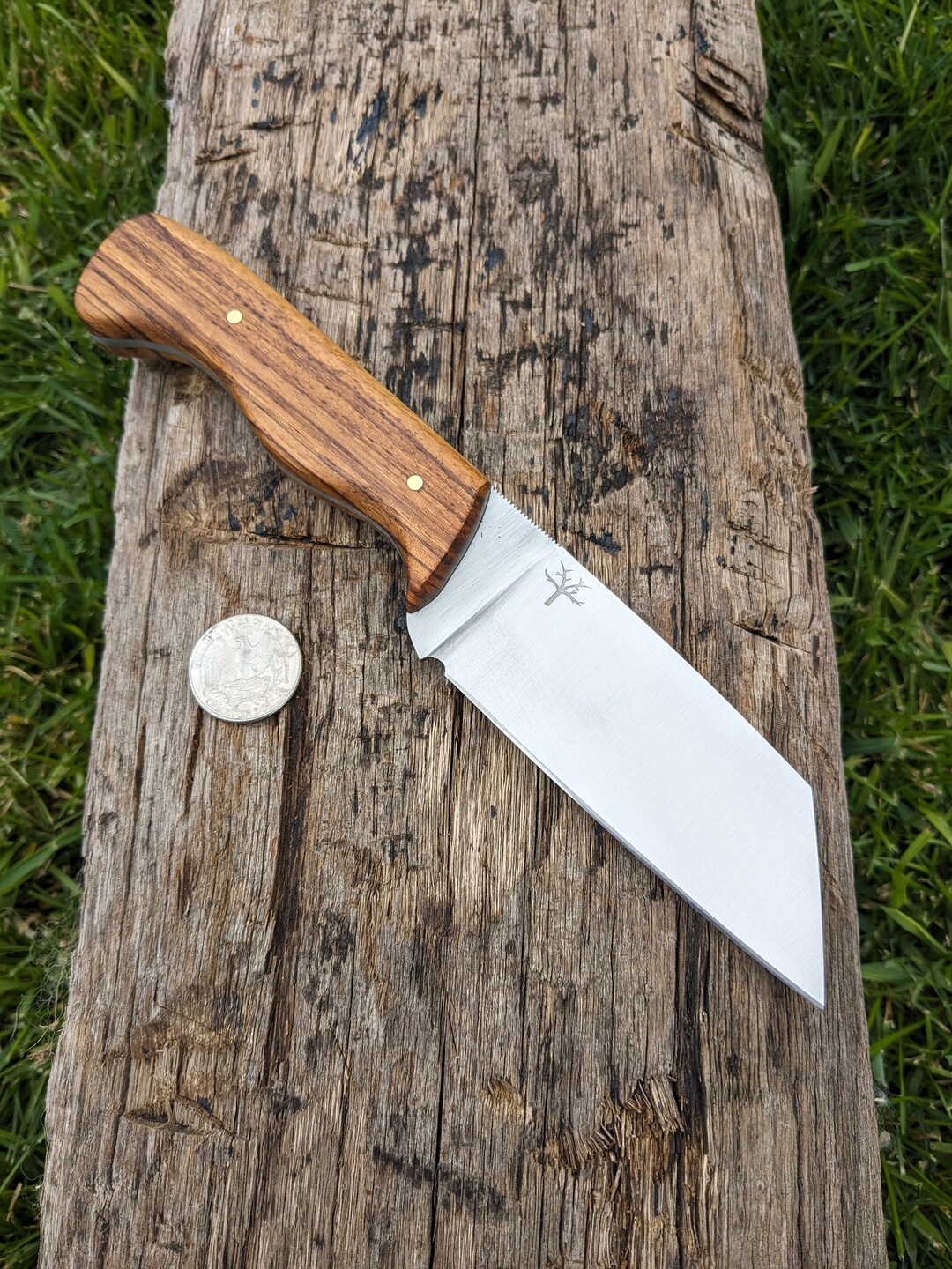 Buy Handmade 1095 Steel Wharncliffe Blade Knife, Zebra Wood Handle and ...