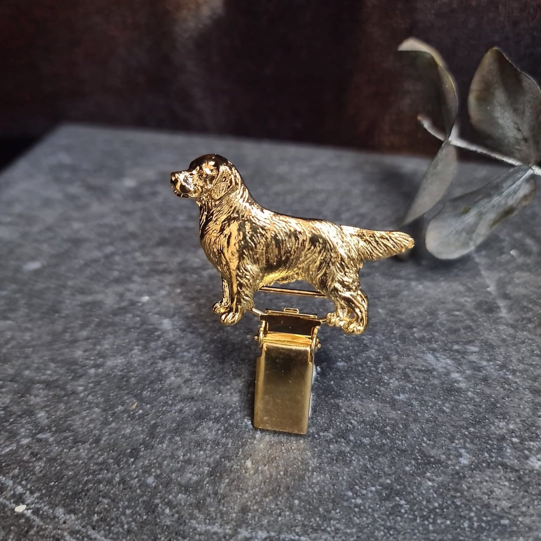 Golden RETRIEVER NUMBER HOLDER Brooch – Elegant Dog Show Ring Clip ...