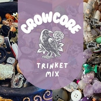 Crowcore - Etsy