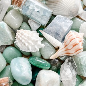 Beach Crystal Mystery Scoop | Sea Shell Specimen Mix | Mermaid ...