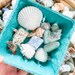 Beach Crystal Mystery Scoop | Sea Shell Specimen Mix | Mermaid ...