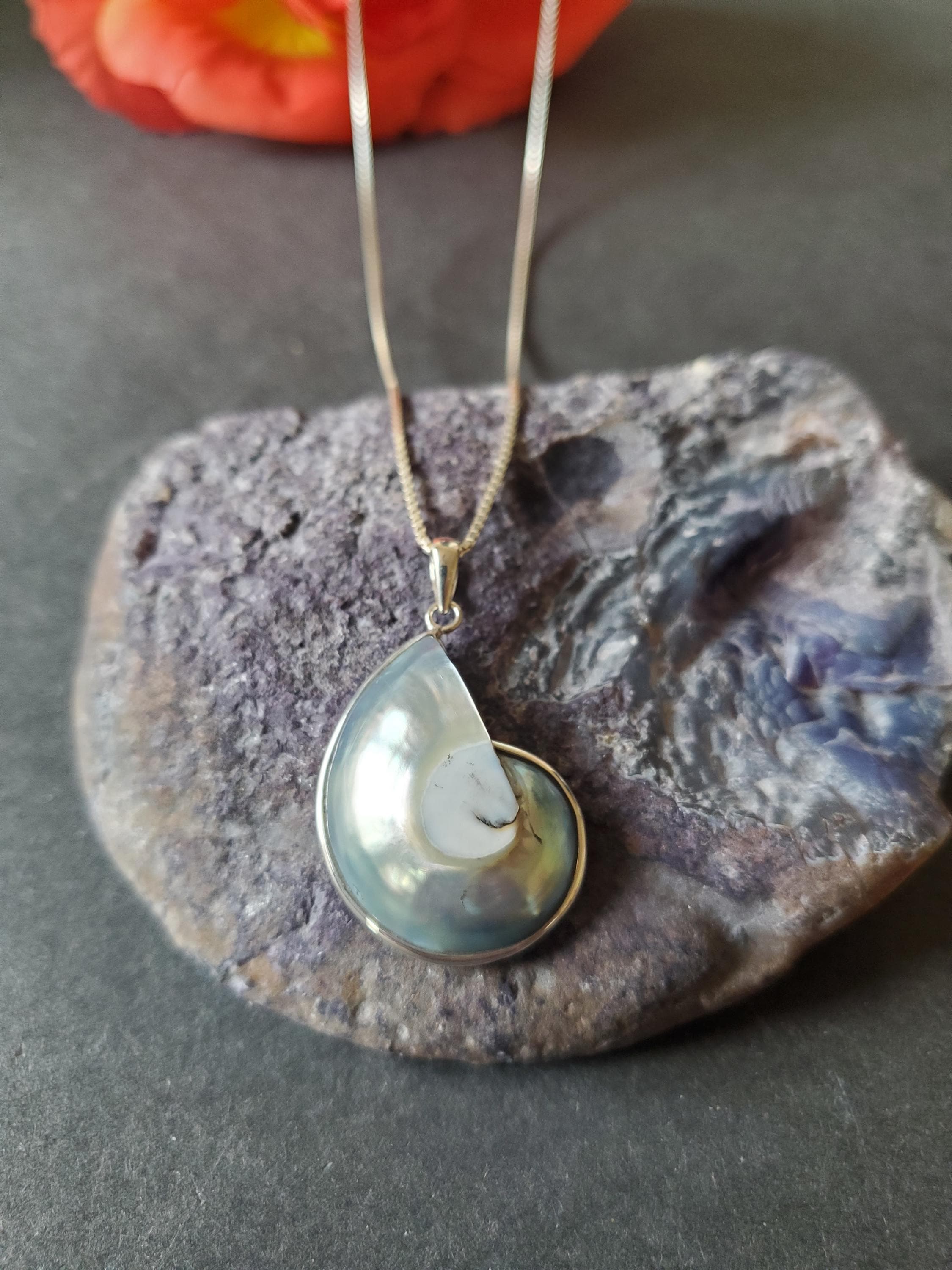 Nautilus Shell Pendant Necklace/sterling Silver/ Beautiful Shell ...