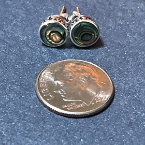 Abalone Shell Stud Earring/abalone Shell Earrings/ Stud Earrings / Post ...