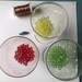 Butterfly Kit - Etsy