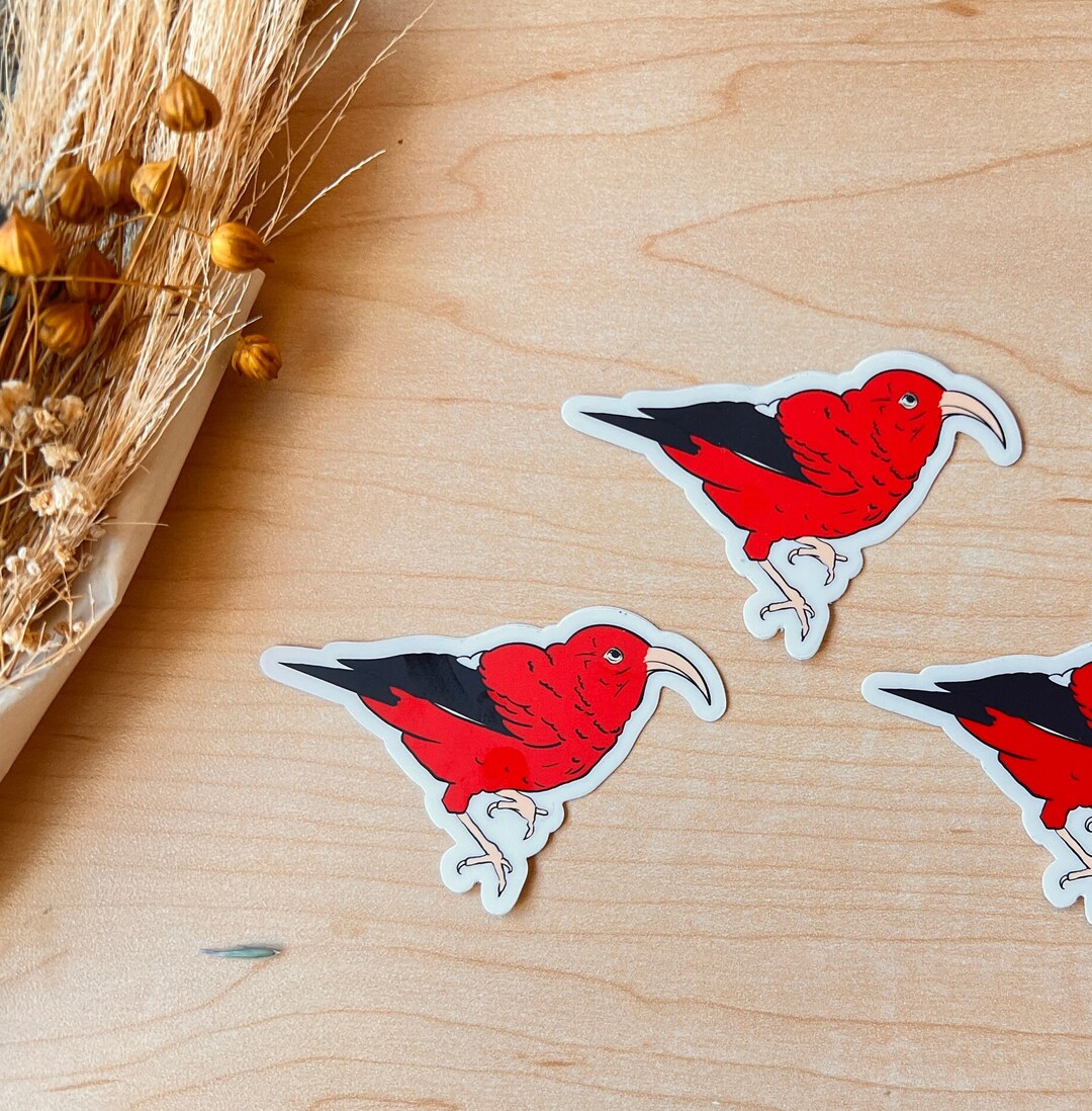 Hawaiian Honey Creeper Sticker | I'iwi Bird | Red Bird | - Etsy