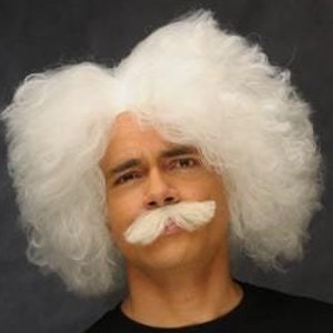 Einstein's White Texturized Cosplay Costume Wig Set Bushy Handmade on ...