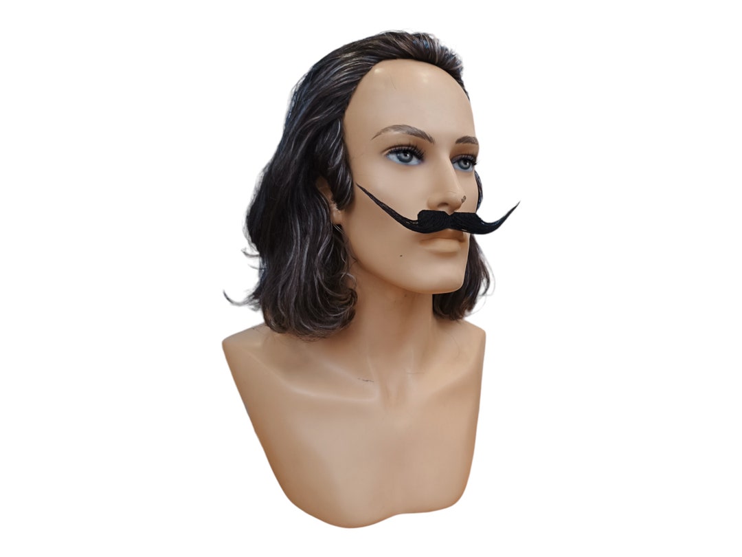 Salvador Dali Wig - Brown Gray Medium Length Hair With Bald Front ...