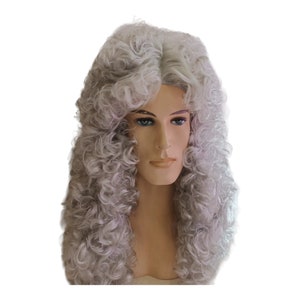 Regency Colonial Gray Wig - Etsy