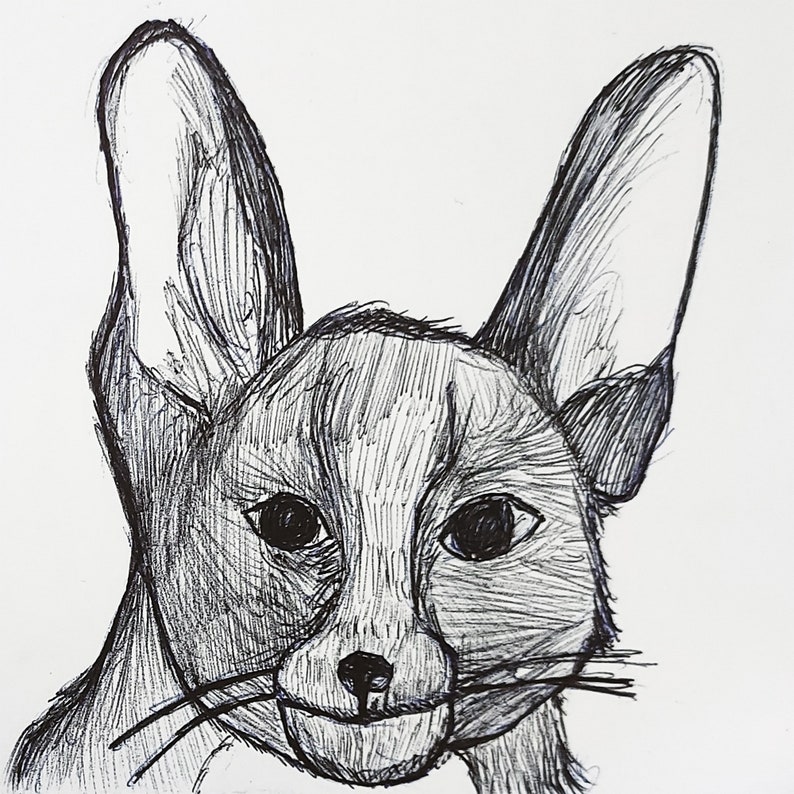 Tonal Animal Portraits Art - Etsy