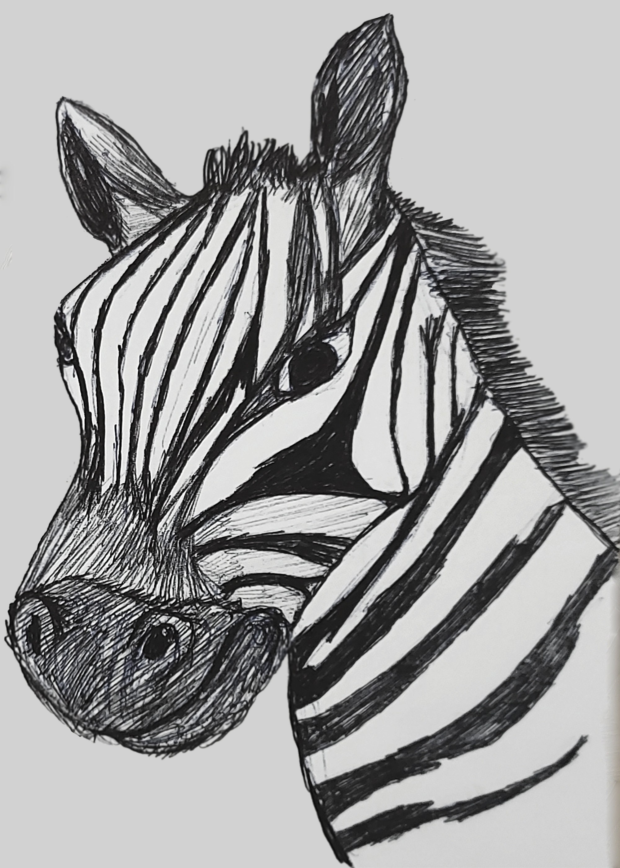 Tonal Animal Portraits Art - Etsy