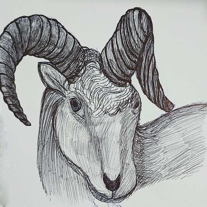 Tonal Animal Portraits Art - Etsy