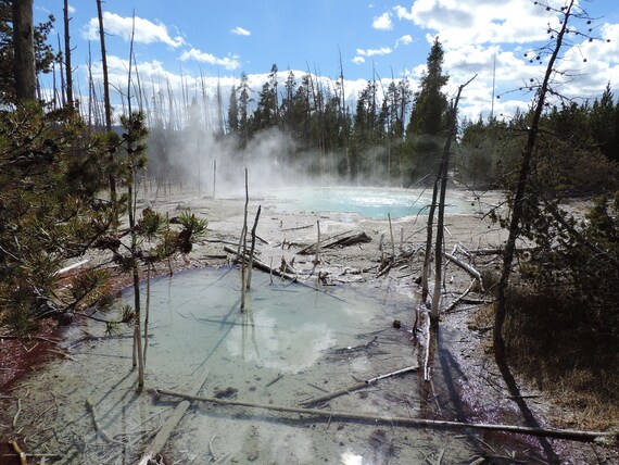 Photograph of Cistern Spring Yellowstone National Park | Etsy