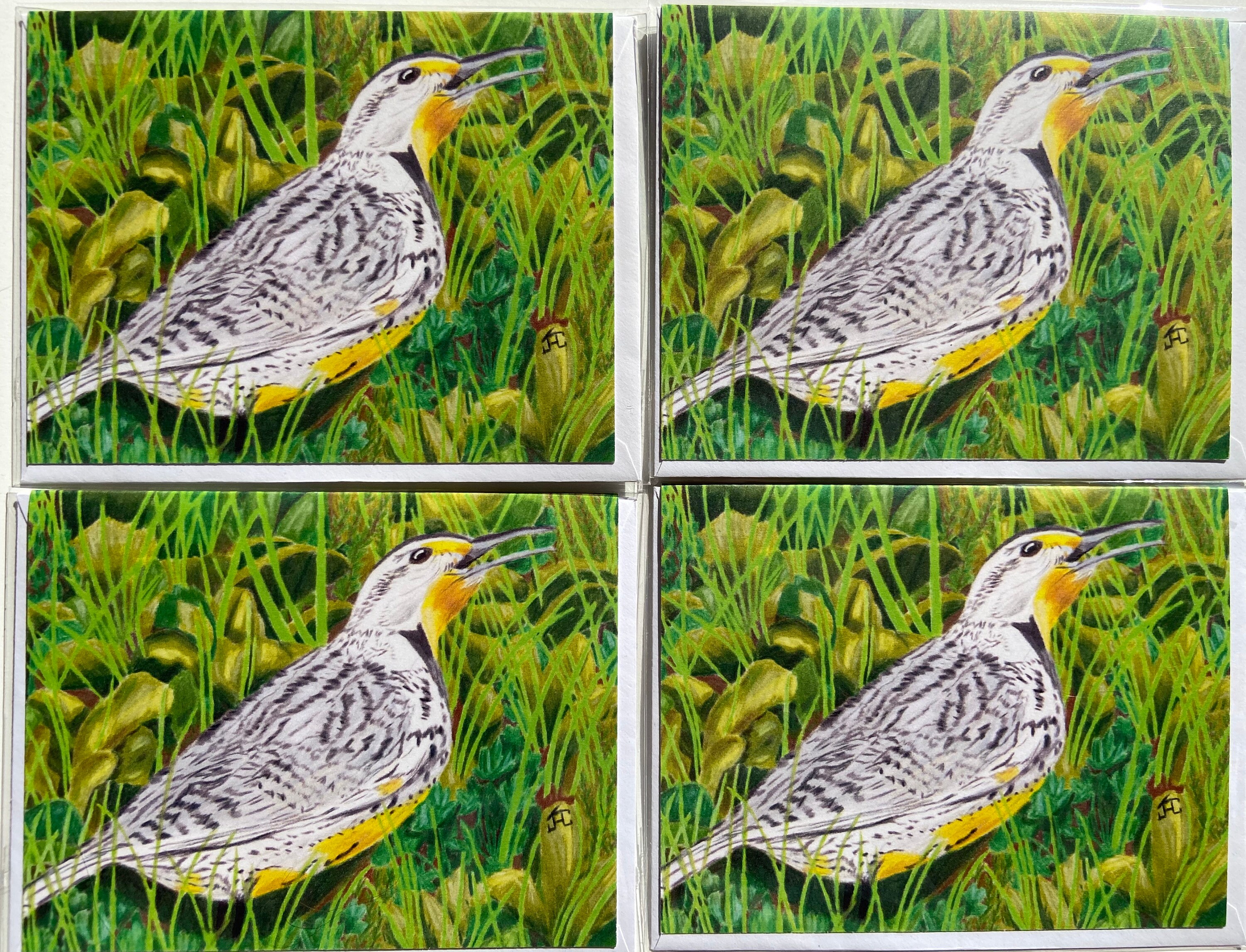4 Note Cards of Western Meadowlark Drawing "happy as a Lark" - Etsy