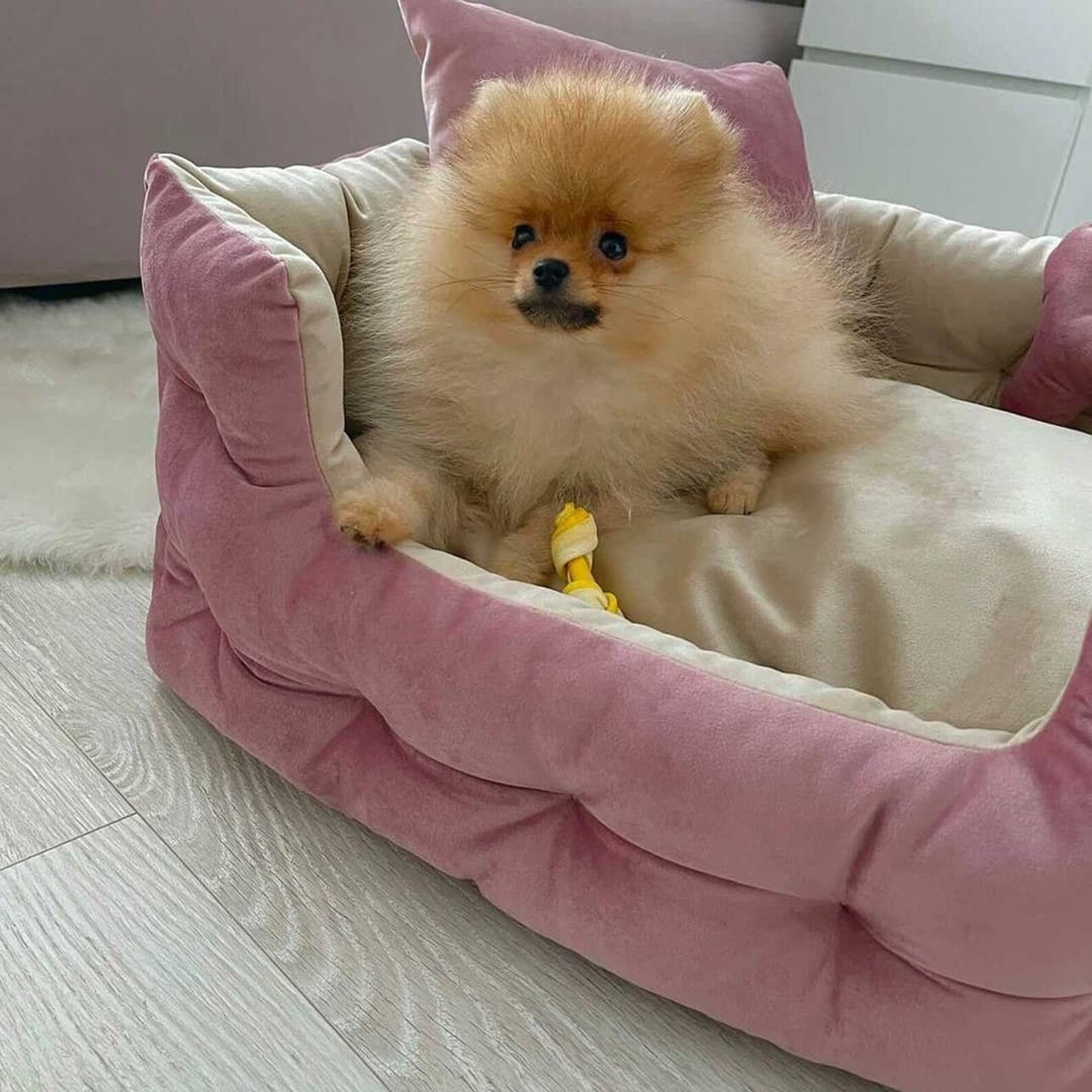 Dog Bed Boxer Bed Yorkshire Terrier Bed German Boxer Bed - Etsy