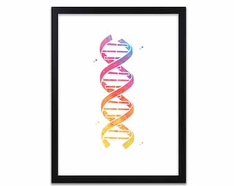 RNA and DNA POSTER, Structure of Dna and Rna, Biology Art Print ...