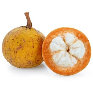 LIVE Santol Cottonfruit Tree About 3 Feet Tall Rooted In A 4 Inch Pot live-santol-cottonfruit-tree-about-3-feet-tall-rooted-in-a-4-inch-pot