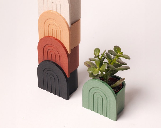 Rainbow Planter Made in France Plastic Free & Wood Based Eco Friendly ...