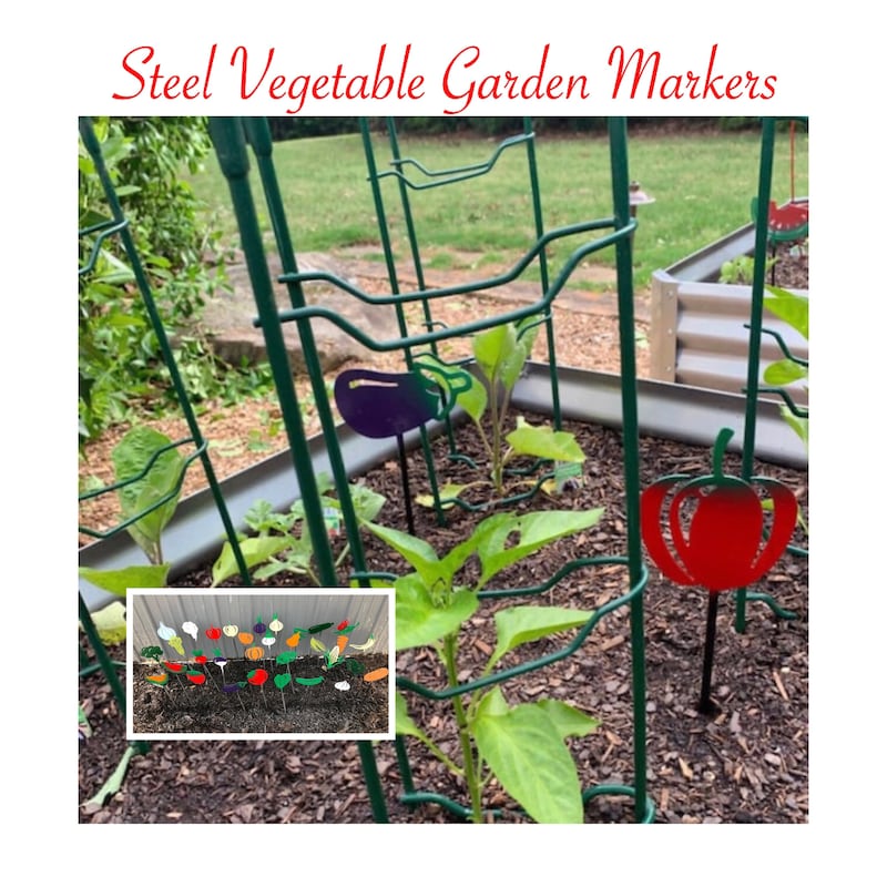 Vegetable Stakes - Etsy
