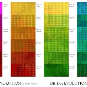 Dit Dot Evolution Evergreen 1DDE 24 - Etsy