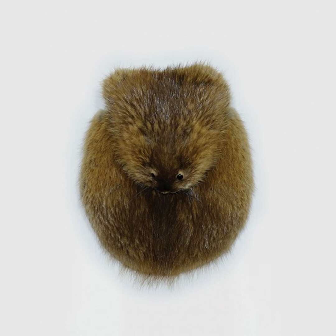 Musquash Full Mask Sporran - Etsy