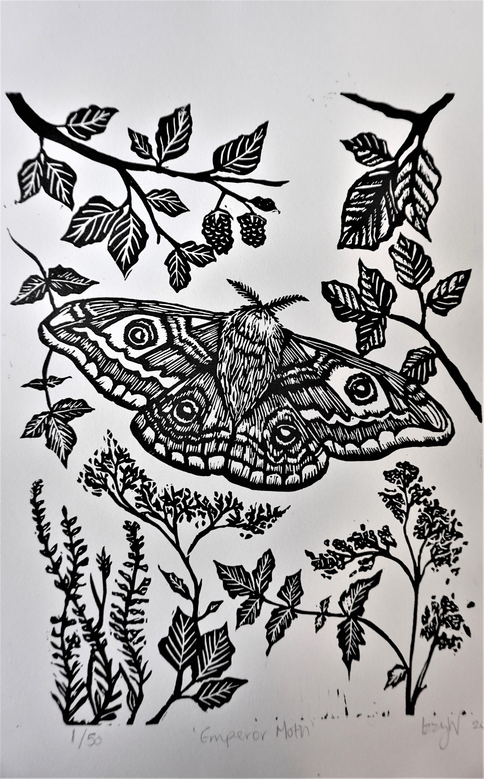 Emperor Moth in Black Original Linocut Print - Etsy