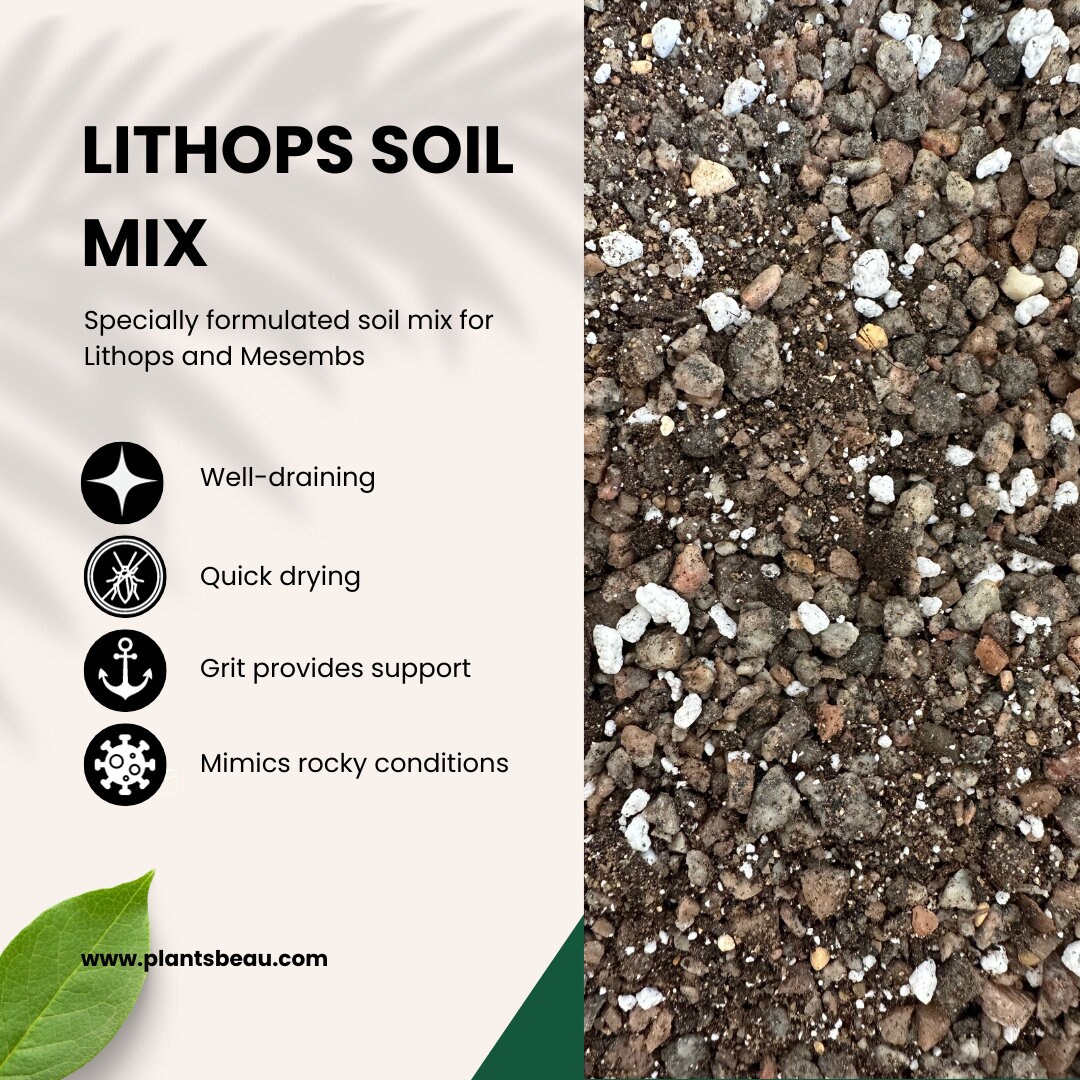 Lithops and Mesembs Soil Mix by Plantsbeau - Etsy UK