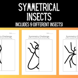 Symmetry Insect Challenge: Finish the Drawing - Etsy
