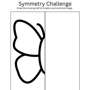 Symmetry Insect Challenge: Finish the Drawing - Etsy