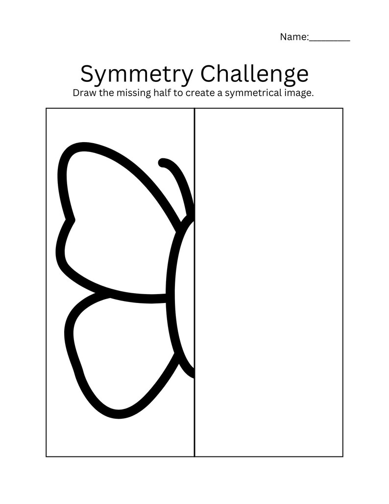 Symmetry Insect Challenge: Finish the Drawing - Etsy