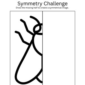 Symmetry Insect Challenge: Finish the Drawing - Etsy