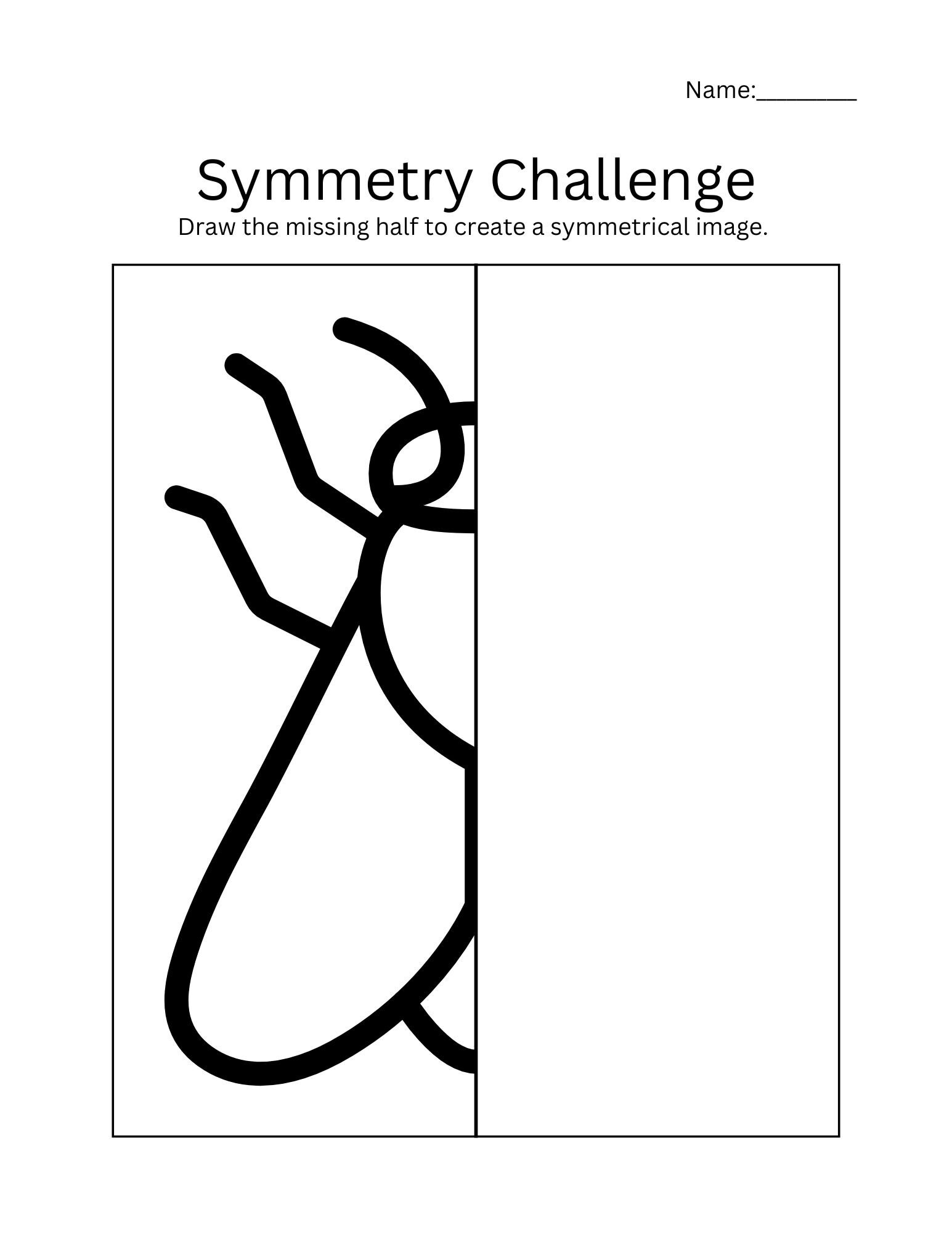 Symmetry Insect Challenge: Finish the Drawing - Etsy