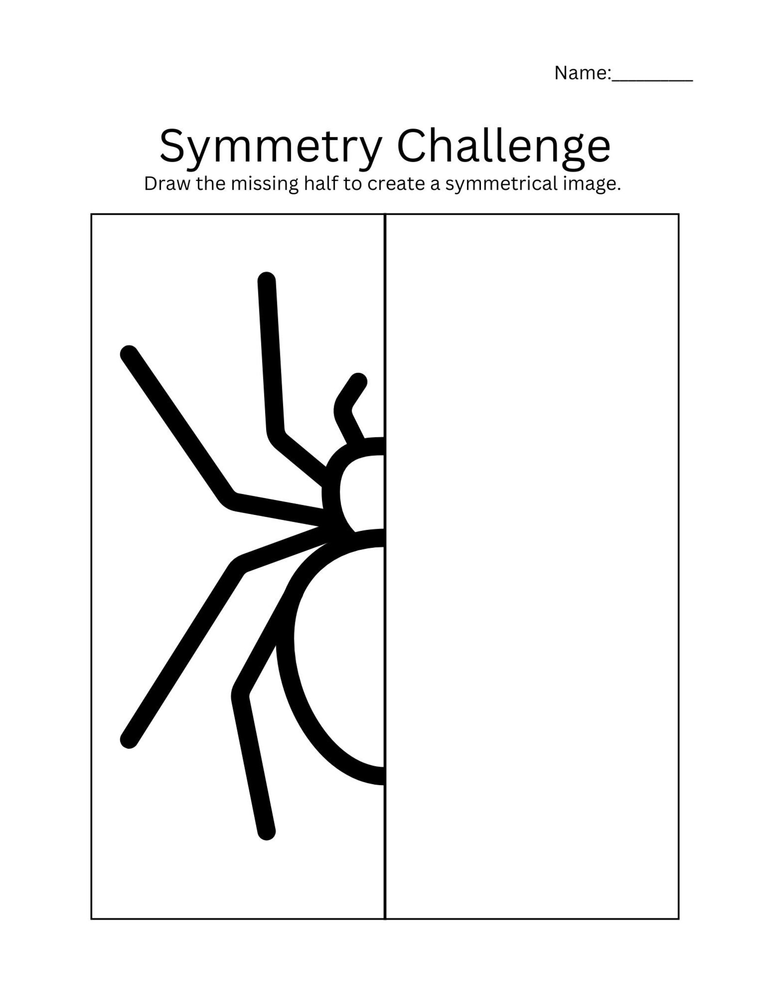 Symmetry Insect Challenge: Finish the Drawing - Etsy