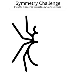 Symmetry Insect Challenge: Finish the Drawing - Etsy