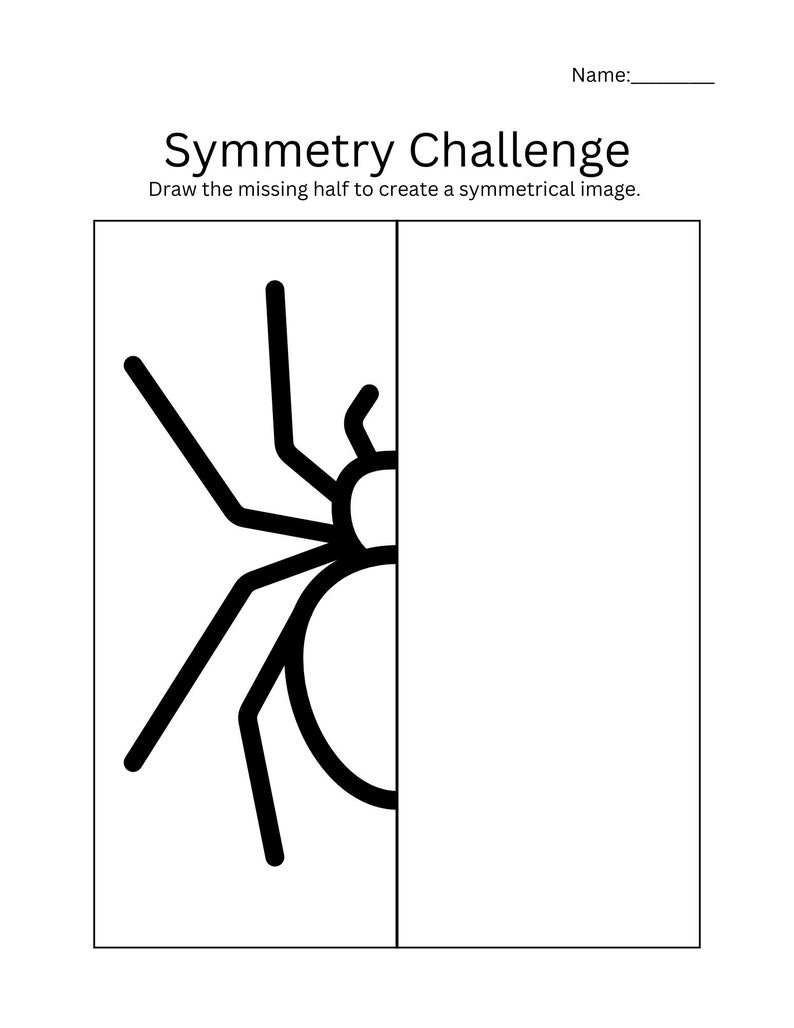 Symmetry Insect Challenge: Finish the Drawing - Etsy