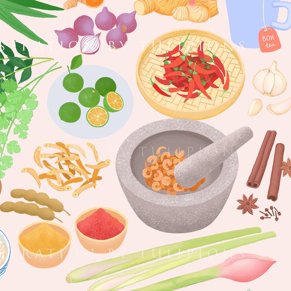 Malaysian Ingredients Asian Food Illustration Pastel Colors | Etsy