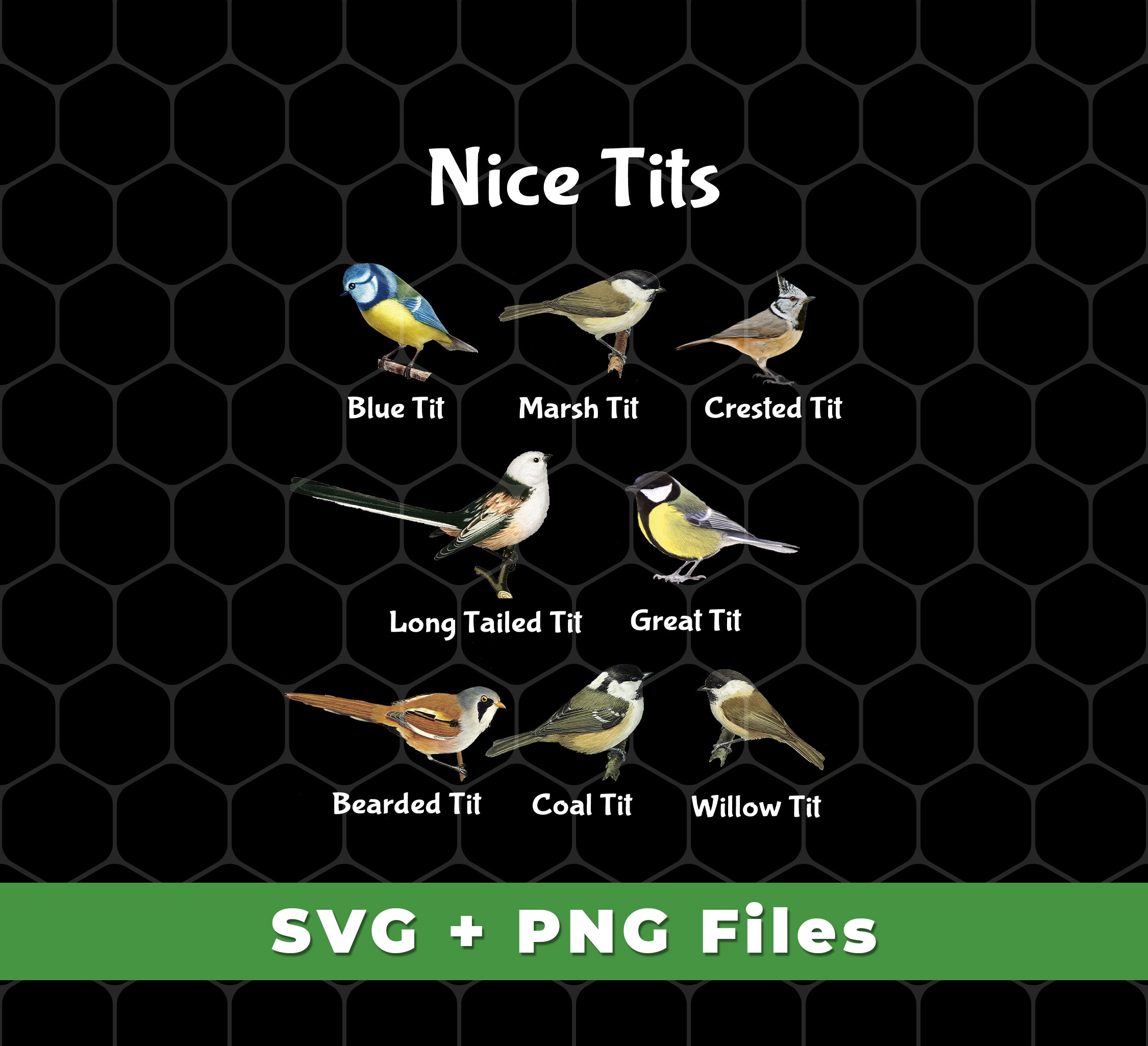Nice Tits Svg Tits Bird Svg Birds Svg Tits Svg 8 Kinds Of Etsy Uk