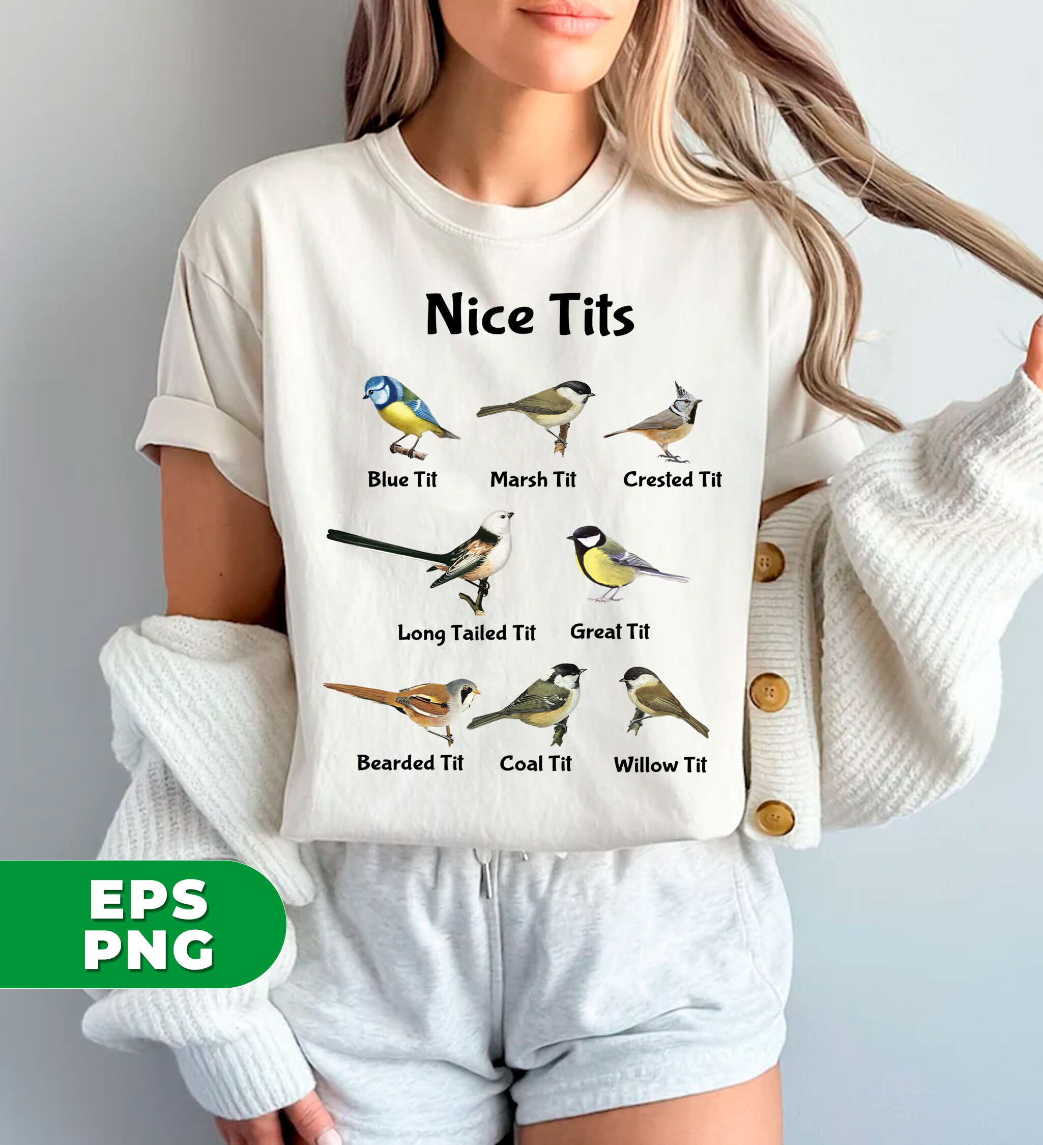 Nice Tits Png, Tits Bird Png, Birds Png, Tits Png, 8 Kinds of Tits Bird ...