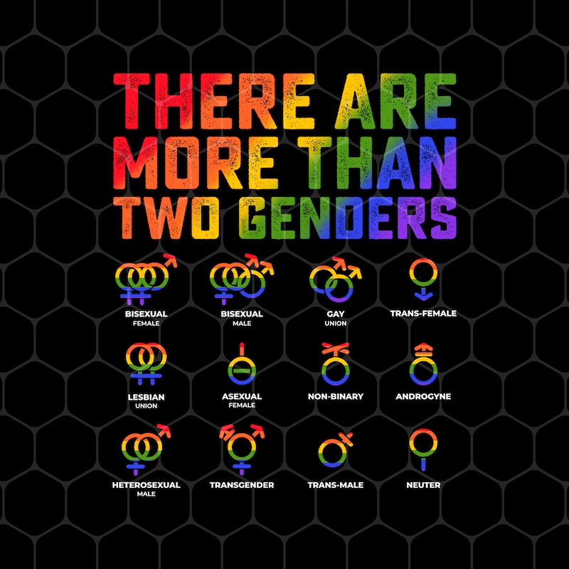 There Are Only Two Genders Shirt - Etsy