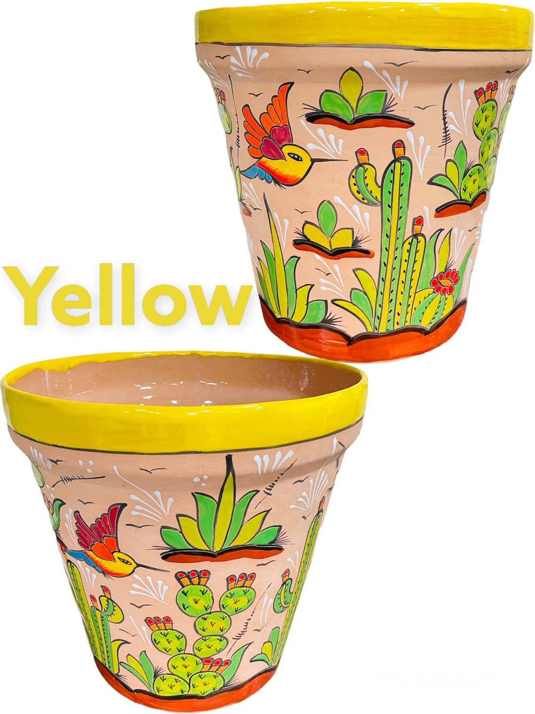 Rustic Cactus and Humming Bird Rustic Sunflower Vaso Planter Indoor ...