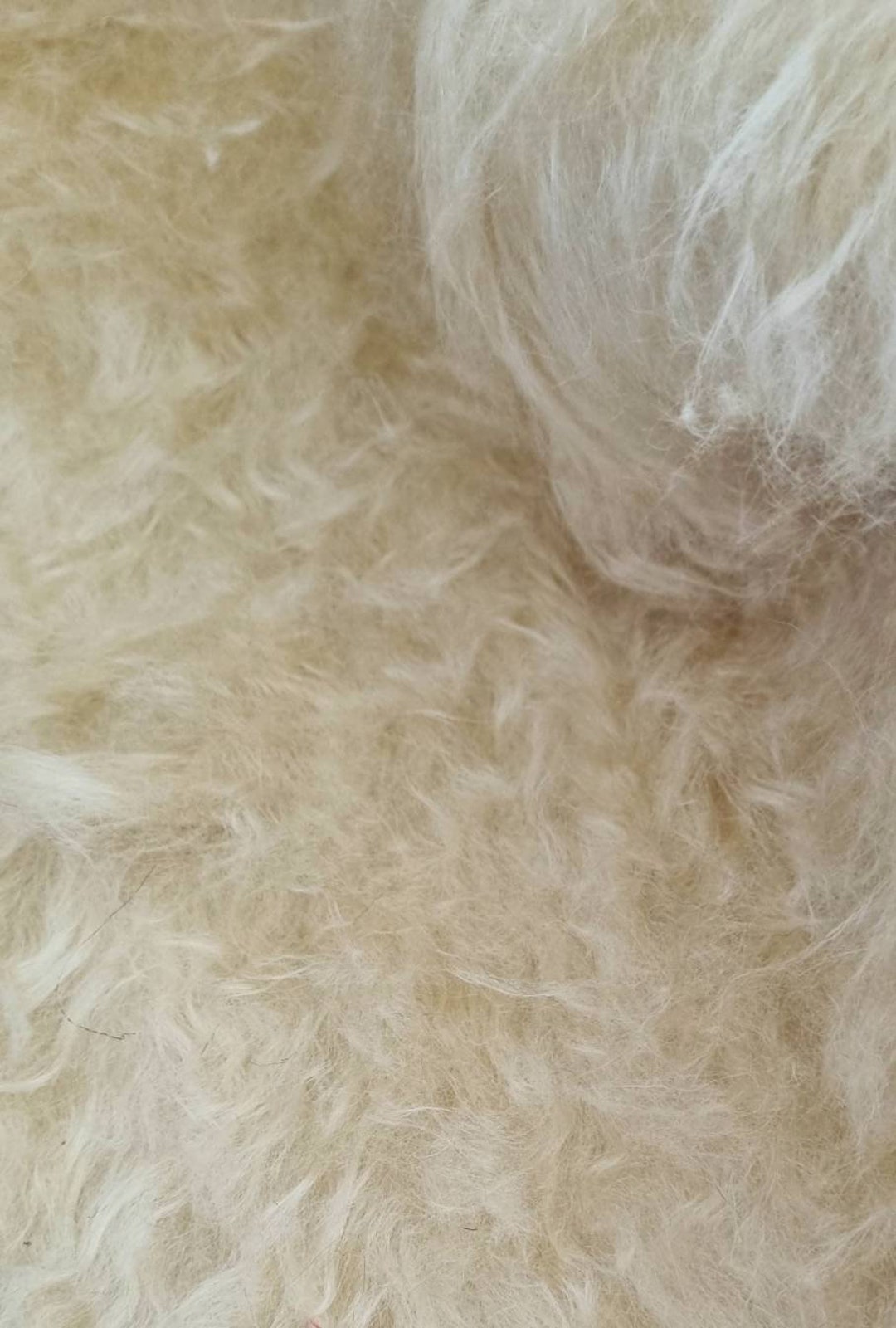 Cream Shaggy Long Haired Faux Fur Fabric-cream Fake Fur-shaggy Fur-bear ...
