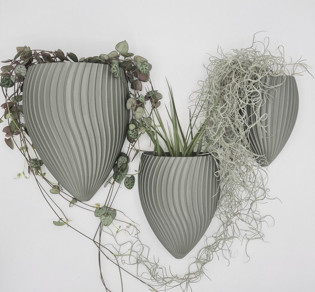 Designer Vase Shell Design With Wall Mount / Wall Flower Pot / Flower ...