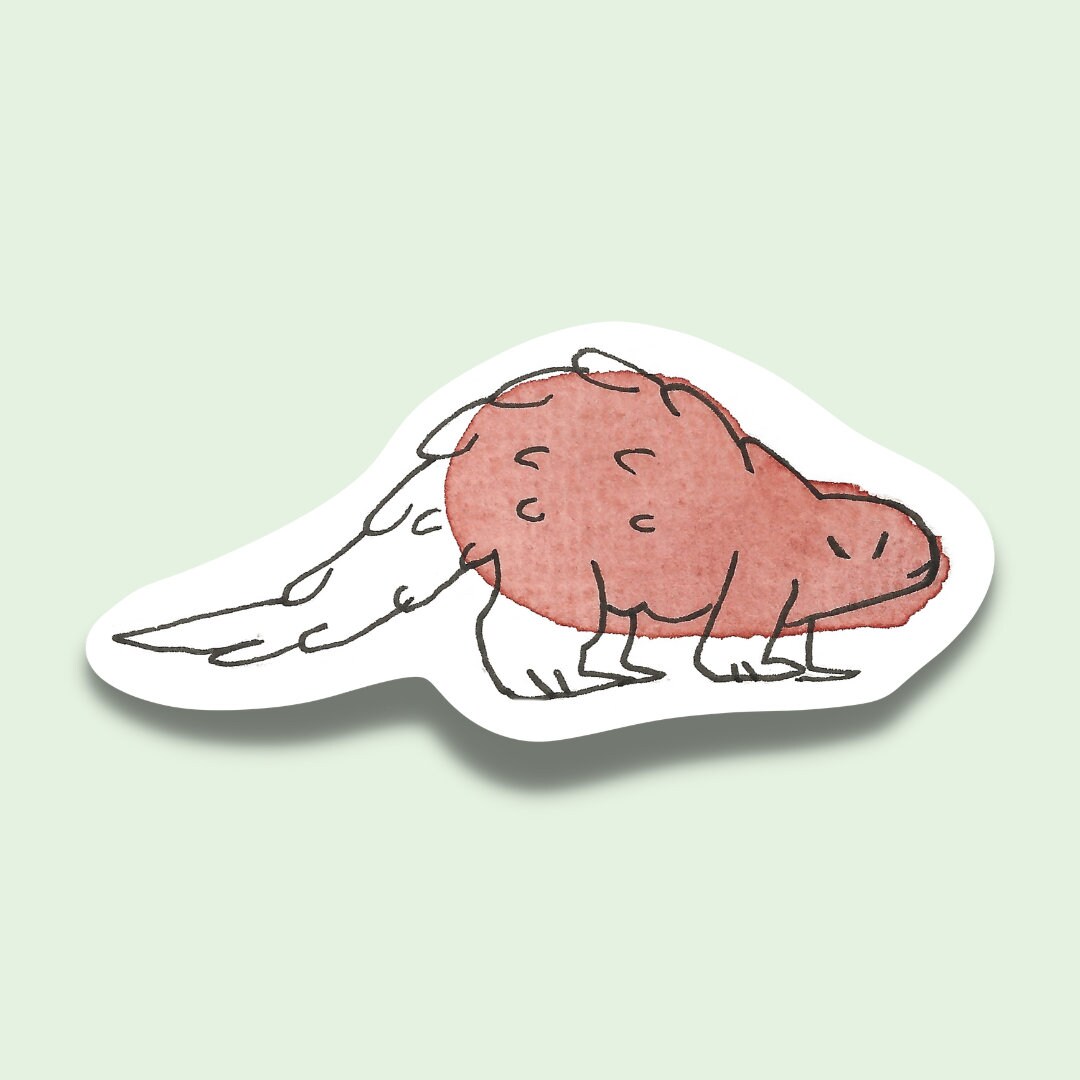Red Pangolin Sticker Stickers Animals Watercolor - Etsy