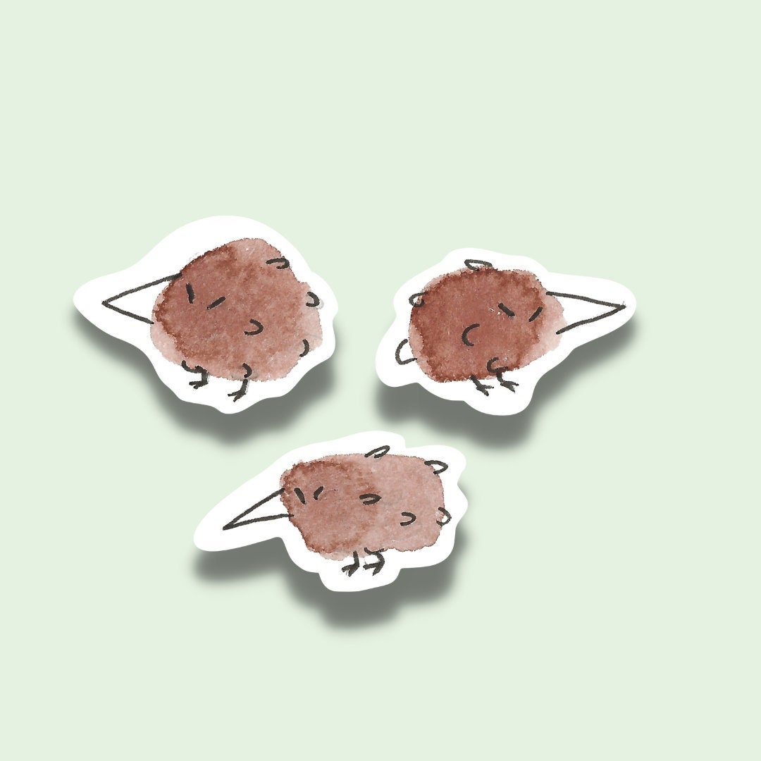3 Brown Kiwis Stickers | Stickers | Animals | Watercolor | - Etsy