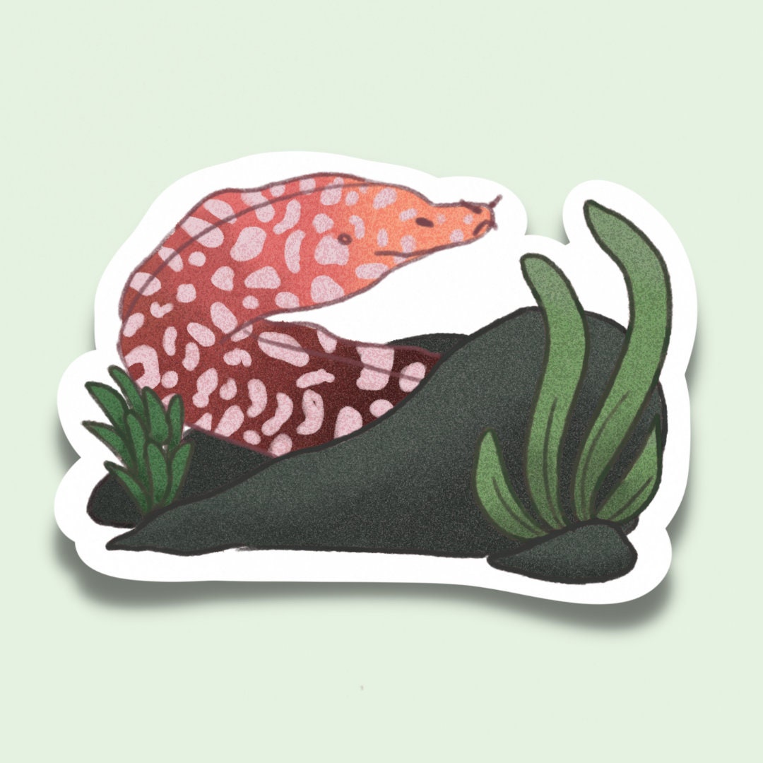 Eel Sticker Pack | Sticker Set | Underwater Animals | Eels - Etsy