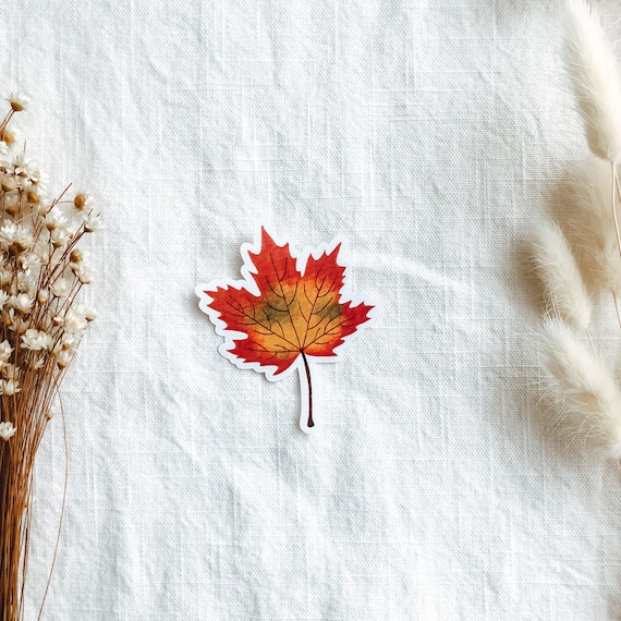 Die-cut Sticker maple Leaf Aesthetic Stickers - Etsy