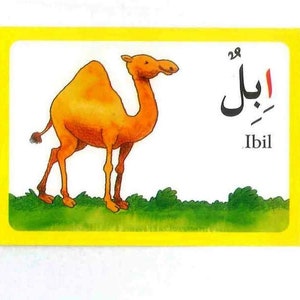 Arabic Alphabet Flash Cards GOODWORD - 28 Colorful Cards - Etsy