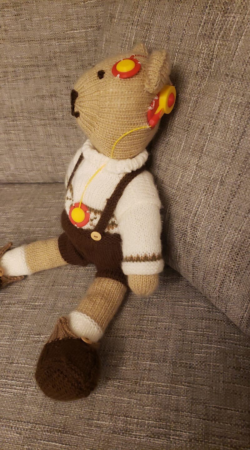 Teddy Shunt Valve Hydrocephalus IIH VP CSF Dandy Walker | Etsy