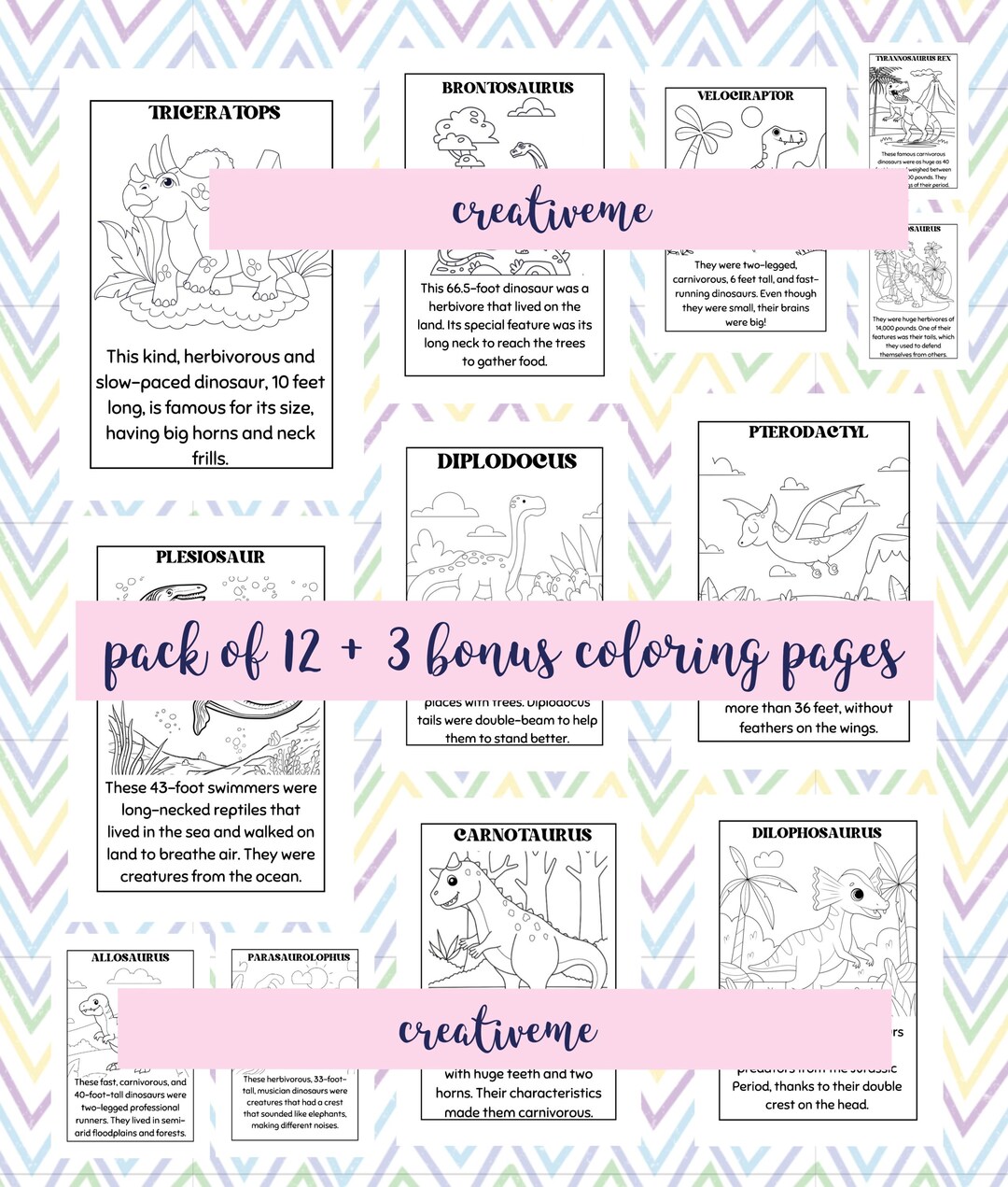 Dinosaur Coloring Pages: Fun Facts, Flash Cards (digital Download) - Etsy