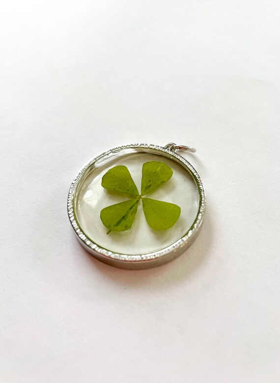 Real Irish Four Leaf Clover